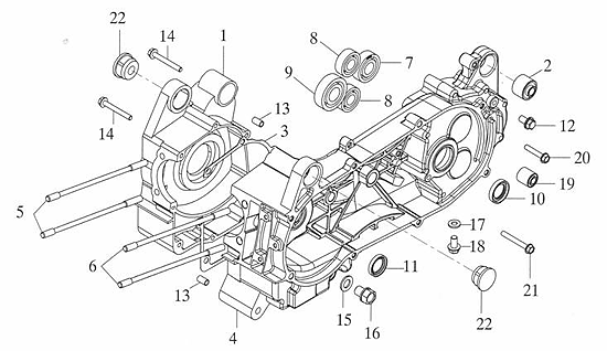 Crankcase (Adly ATV 150S Interceptor)